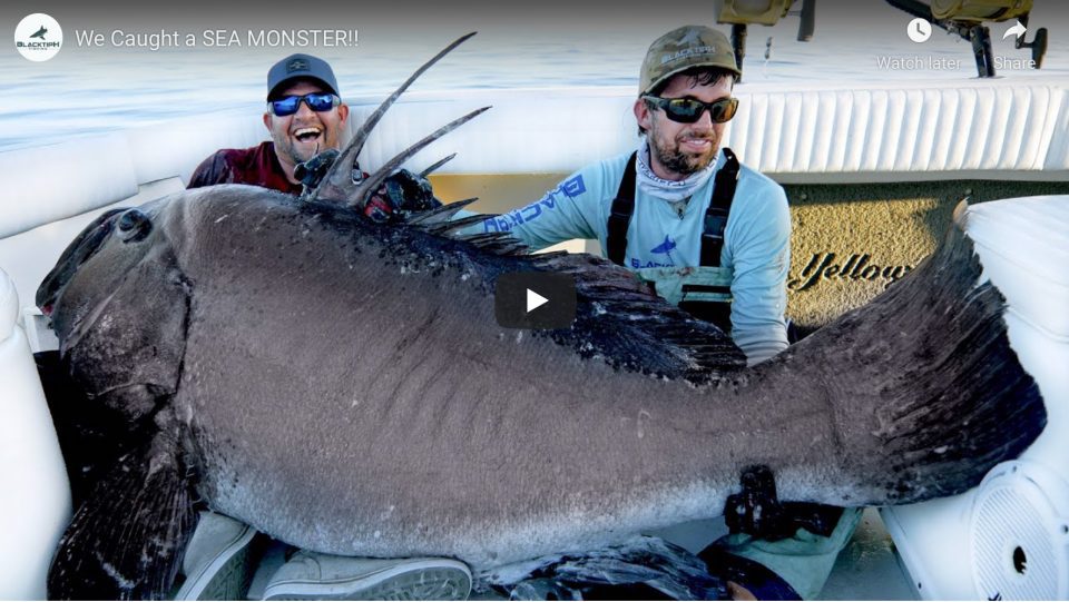 Catching A Sea Monster! - Coastal Angler & The Angler Magazine