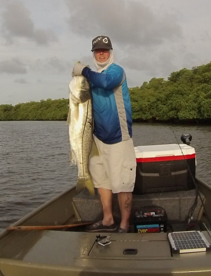 Throwback Snook - Coastal Angler & The Angler Magazine