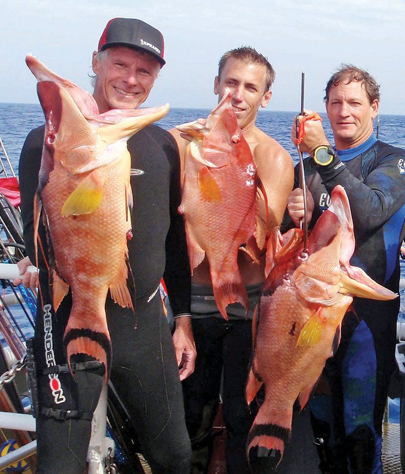 Thank Goodness for Hogfish in SW Florida! - Coastal Angler & The Angler ...