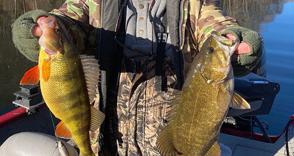 Mountain Lake Bluebacks - Coastal Angler & The Angler Magazine