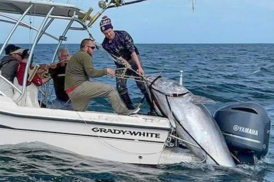 Monster Bluefin Caught 45 Miles Offshore The OBX - Coastal Angler & The ...