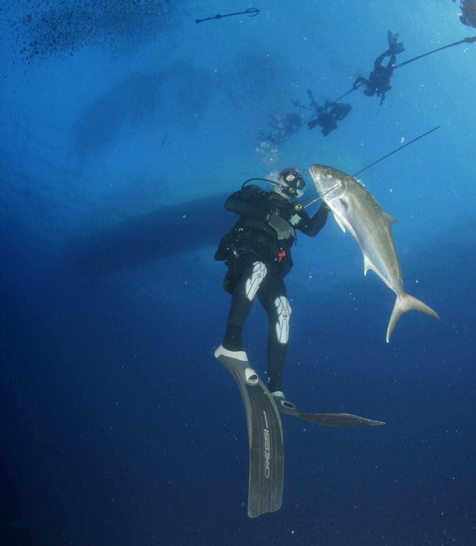 Gulf Reef Donkeys! - Coastal Angler & The Angler Magazine