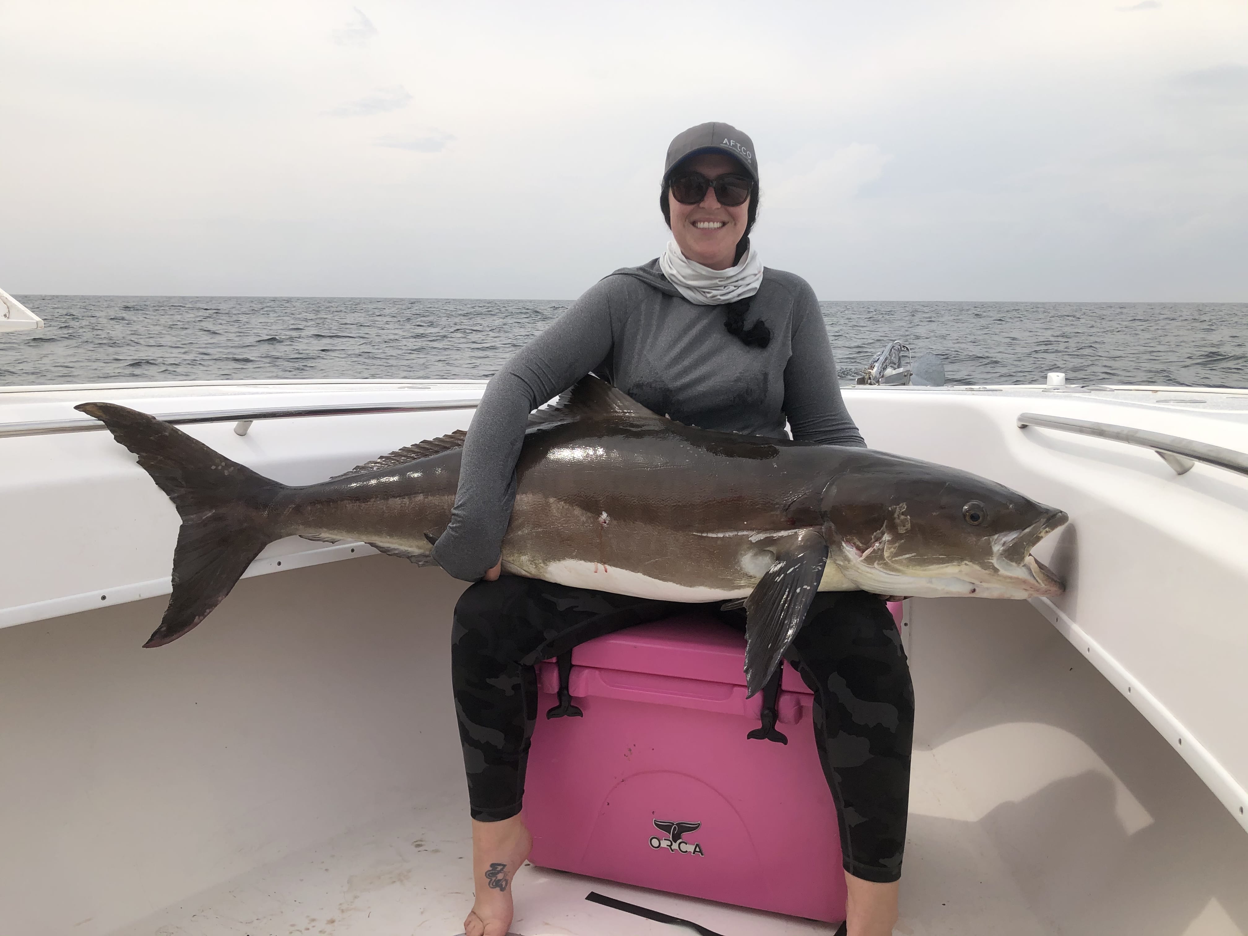85.5 lb cobia - Coastal Angler & The Angler Magazine