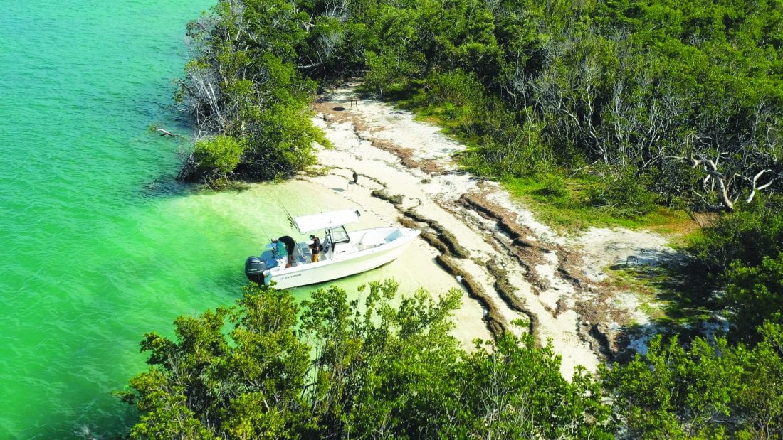 Getting Salty - Coastal Angler & The Angler Magazine