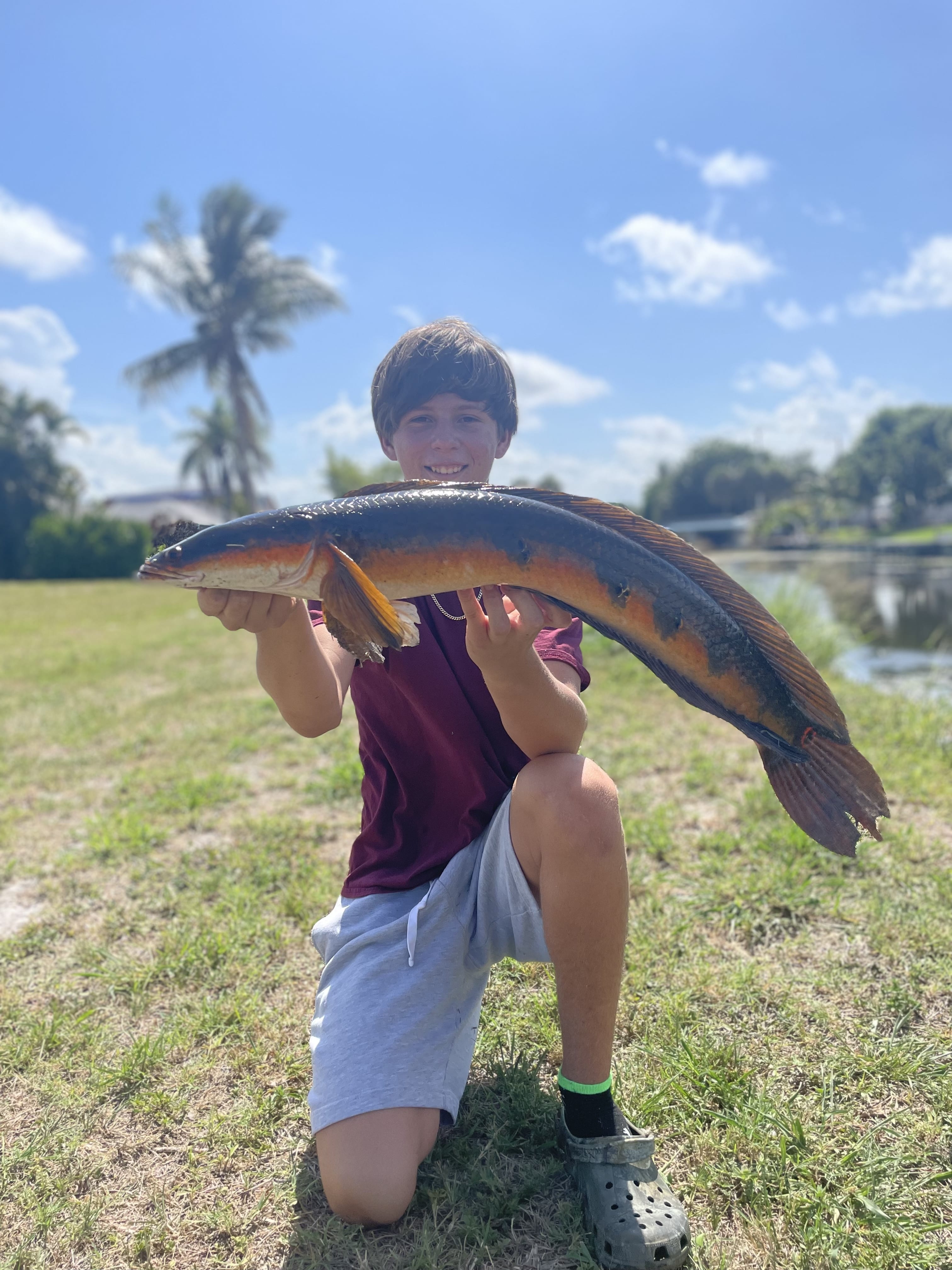Monster snake head | Coastal Angler & The Angler Magazine