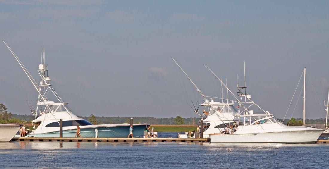 South Carolina Billfishing & Offshore Report - Coastal Angler & The ...