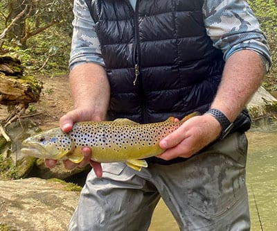 Trout Fishing for June is Looking Great! | Coastal Angler & The Angler ...