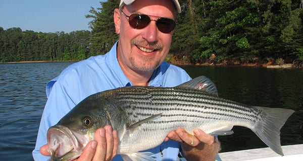 WHERE DID ALL THE FISH GO? - Coastal Angler & The Angler Magazine