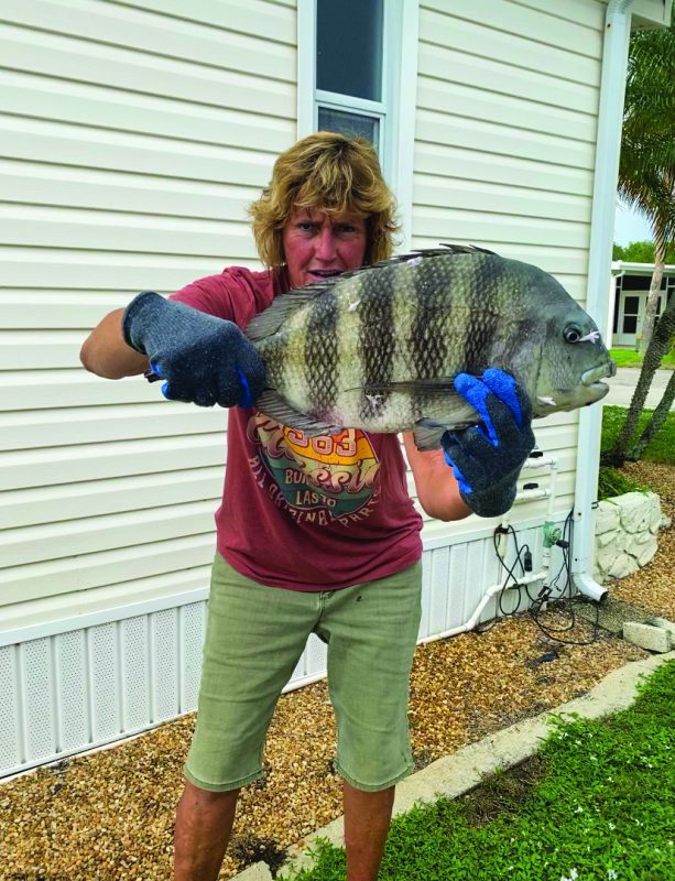 Karen Theis at Cattle Dock Bait caught a beauty using sardines ...