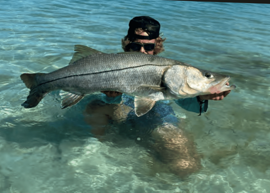 Austin DeSota with a 42” GIANT SNOOK from Marco Island - Coastal Angler ...