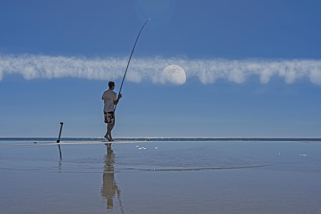 The Running Of The Bulls – By Jeremy Evans | Charleston Surf Fishing ...