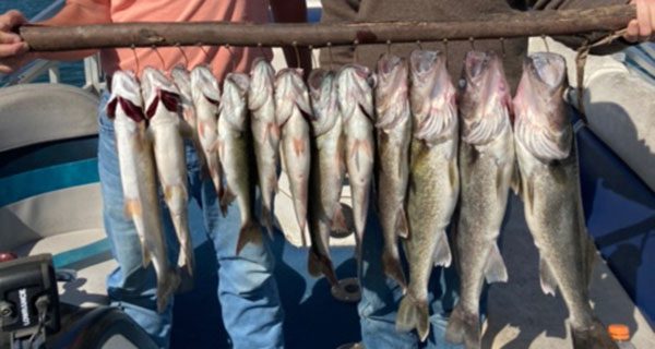 Hot Weather Trolling - Coastal Angler & The Angler Magazine