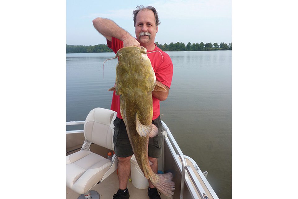 Three Ways To Target Big Cats - Coastal Angler & The Angler Magazine