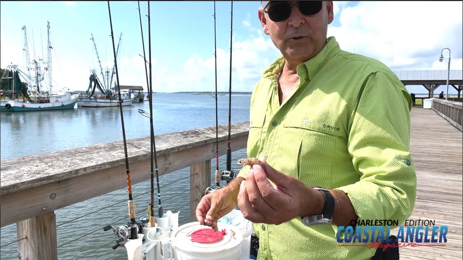 How To Hook Your Shrimp The Right Way By Jiggin Jerry - Coastal Angler ...