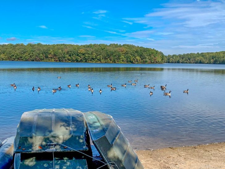 Let Out Some Line at Burke Lake - Coastal Angler & The Angler Magazine