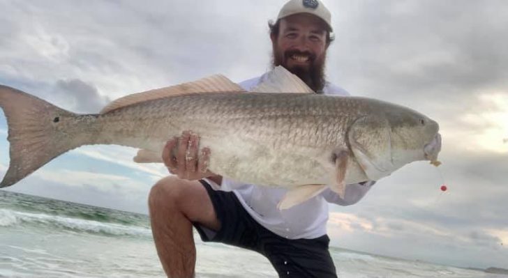 Redfish in the Destin surf - Coastal Angler & The Angler Magazine