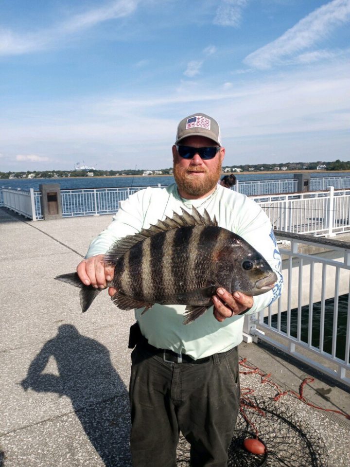 Mt Pleasant Pier January Fishing Forecast - Coastal Angler & The Angler ...