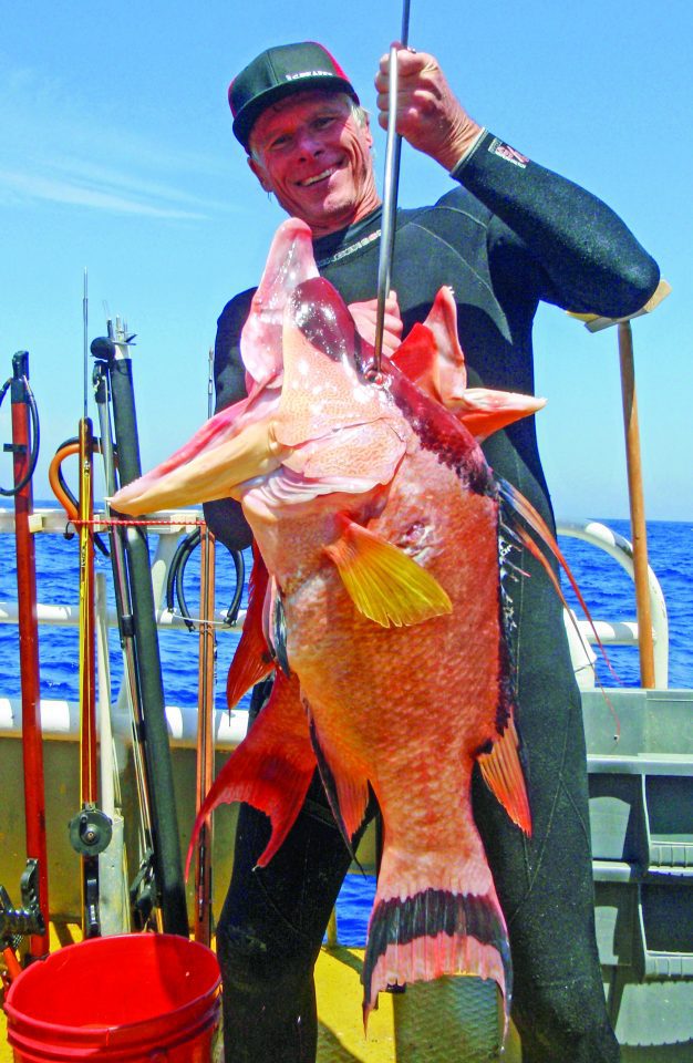 Smart Fish – Dumb Fish - Coastal Angler & The Angler Magazine