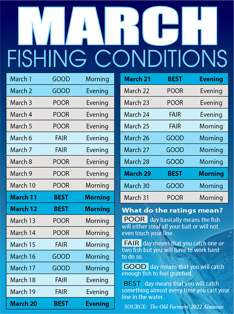 Treasure Coast Fishing Reports, Forecast, News Articles, Outdoors ...