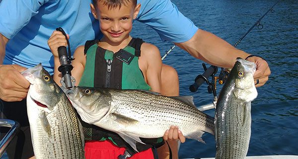 Hangin’ Up My Hammer | Coastal Angler & The Angler Magazine