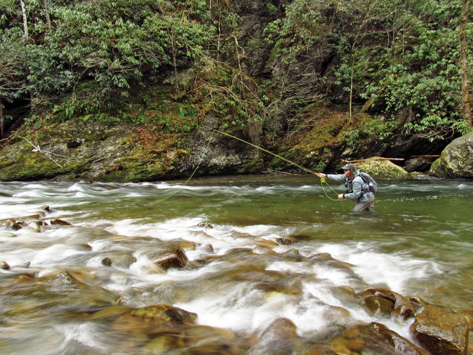 Stay Low For Spring Trout In The Smokies - Coastal Angler & The Angler ...