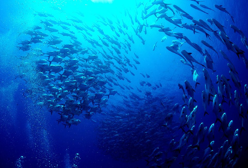 The Deal With Western Dry Rocks - Coastal Angler & The Angler Magazine