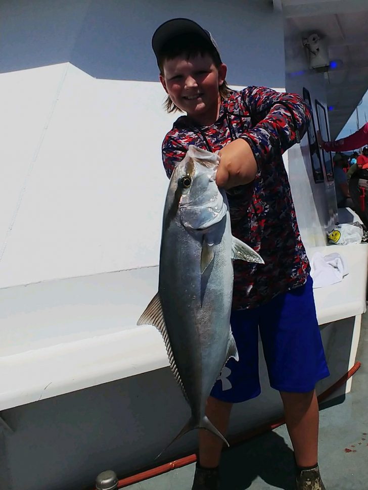 Greater Amberjack - Coastal Angler & The Angler Magazine