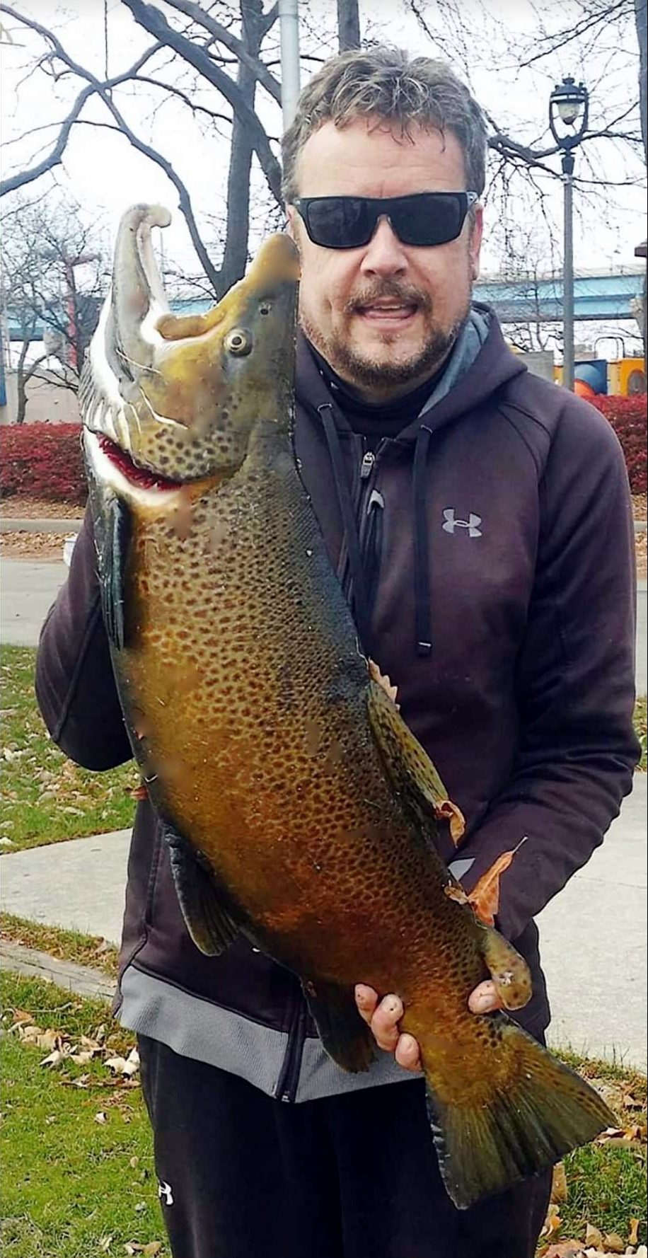 Big Brown Trout - Coastal Angler & The Angler Magazine
