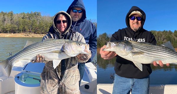 Trophy Spring Stripers on Lake Hiwassee - Coastal Angler & The Angler ...