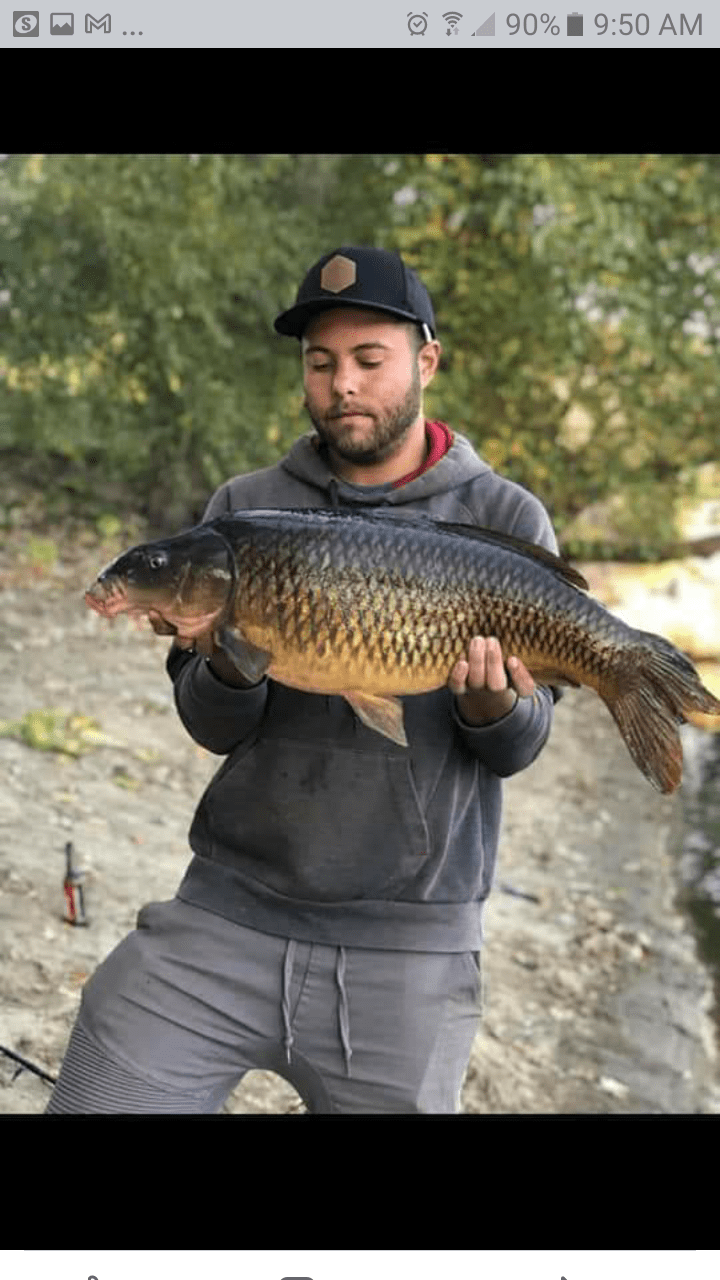 Carp in Massachusetts - Coastal Angler & The Angler Magazine