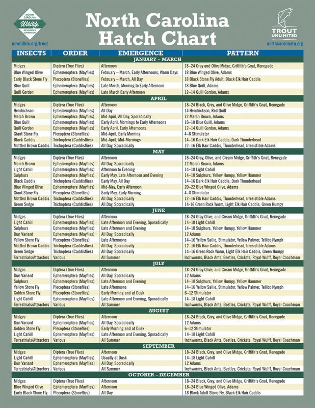 North Carolina Hatch Chart - Coastal Angler & The Angler Magazine