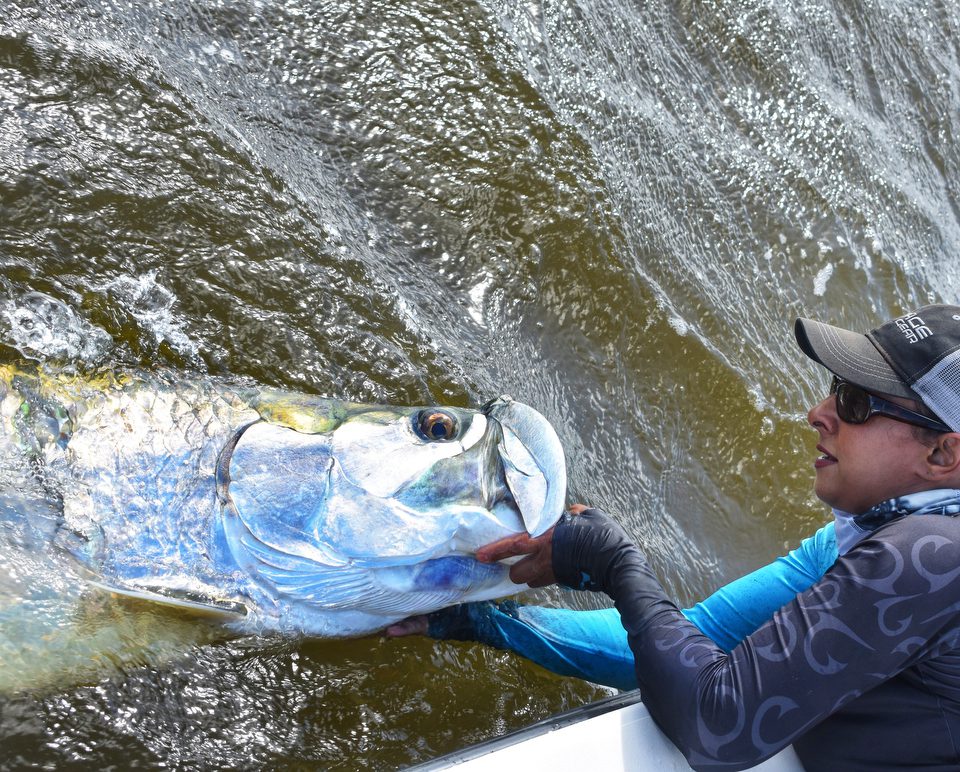 Get Rooted In The Florida Everglades - Coastal Angler & The Angler Magazine