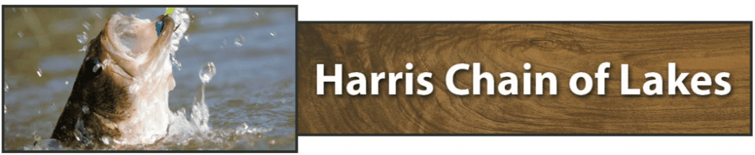 Harris Chain Fishing Forecast – June 2023 - Coastal Angler & The Angler ...