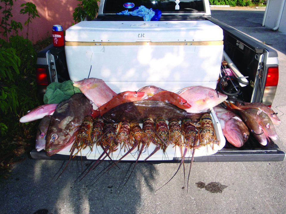 Bug Season Opens at the End of July! - Coastal Angler & The Angler Magazine