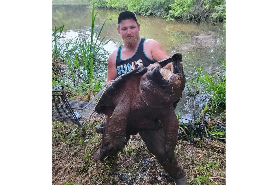 Texas Man Catches And Releases Monster Alligator Snapping Turtle ...