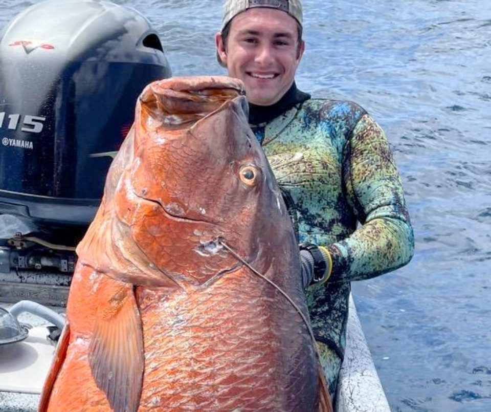 Texas Fisherman Spears 137-Pound Cubera Snapper That Could Break World ...