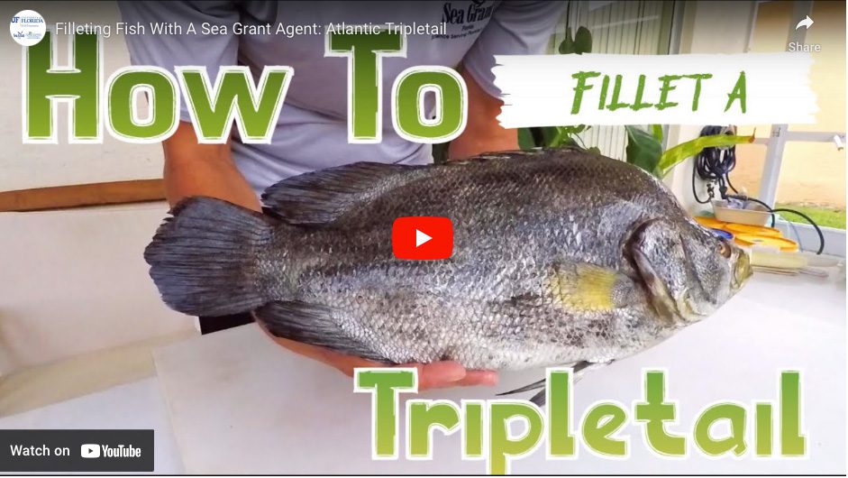 Naples Fishing & Outdoors - Coastal Angler Magazine Naples Edition