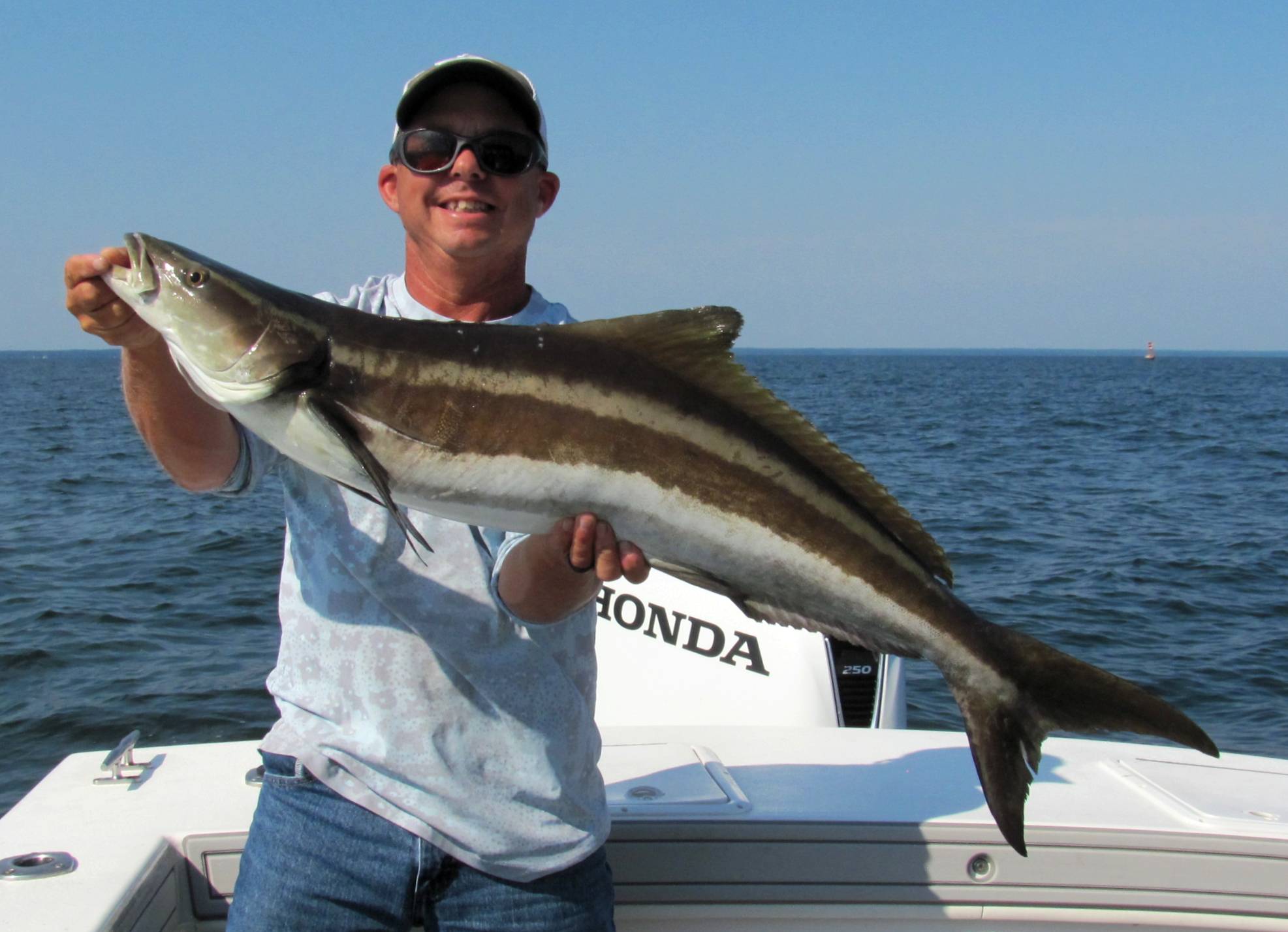 Chesapeake Bay Bounty - Coastal Angler & The Angler Magazine