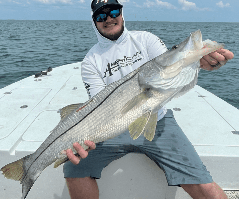 Alex Funke caught this huge Snook in Crystal River along with 3 others ...