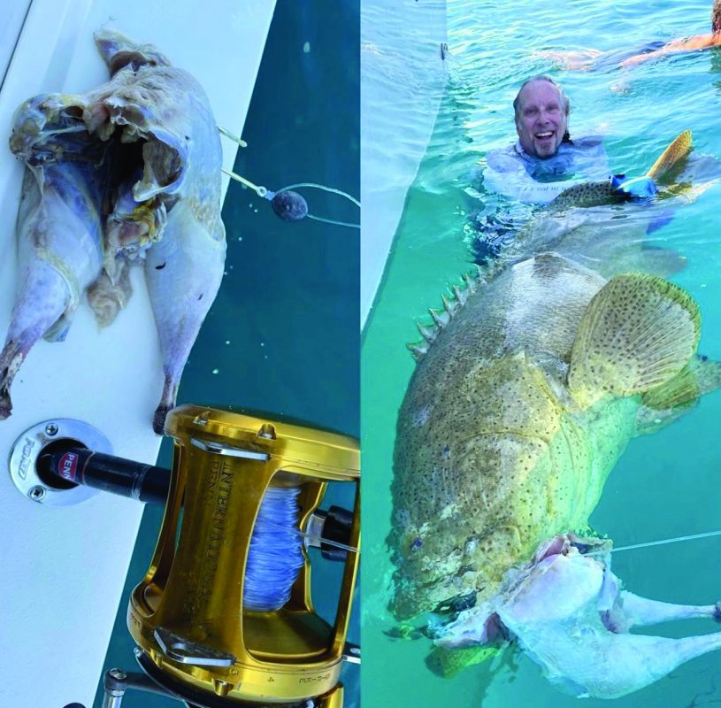 Summer Patterns - Coastal Angler & The Angler Magazine