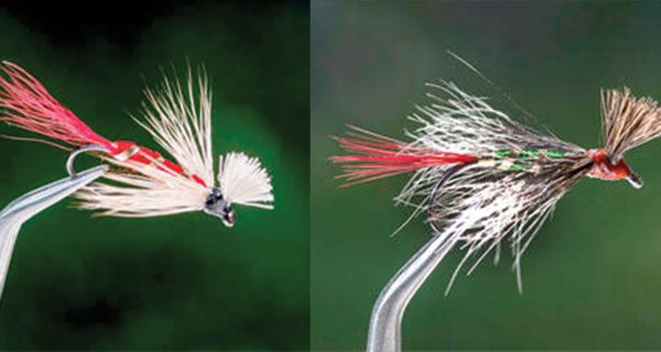 Fly of The Month – Cooper Bug - Coastal Angler & The Angler Magazine