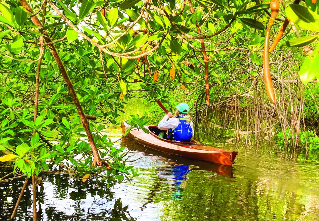 Calusa Blueway Kayak Fishing Tournament - Coastal Angler & The Angler ...