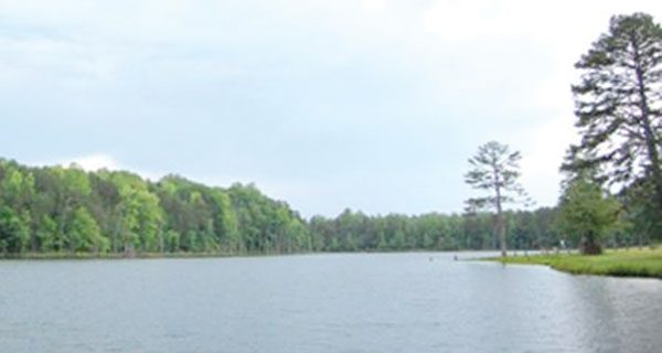 Drainage Failure Causes Fish Kill in Lake Edwin Johnson - Coastal ...