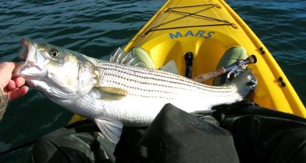 Fishing Strategies - Coastal Angler & The Angler Magazine