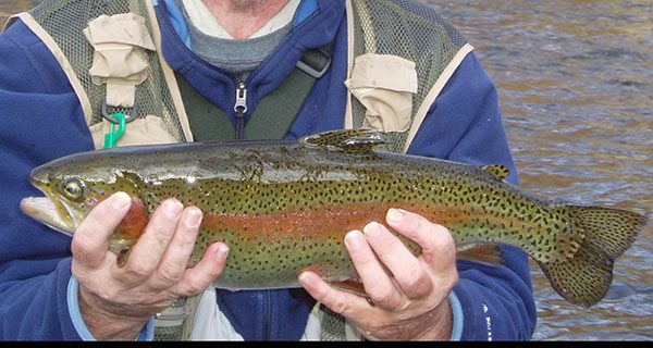 Fishing Across America: Revisited | Coastal Angler & The Angler Magazine