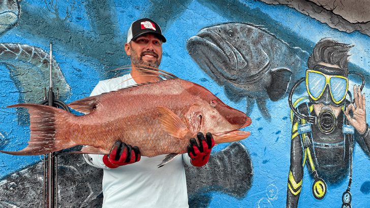 Record Breaking Hogfish Caught Off Panama City Coast - Coastal Angler ...