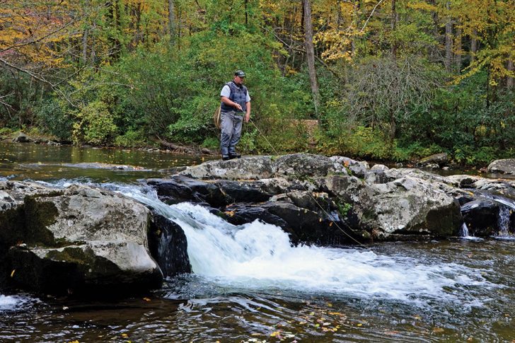 Four Tips For Fall Trout - Coastal Angler & The Angler Magazine