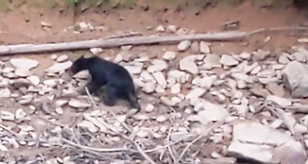 Long Britches and Jackets | Coastal Angler & The Angler Magazine