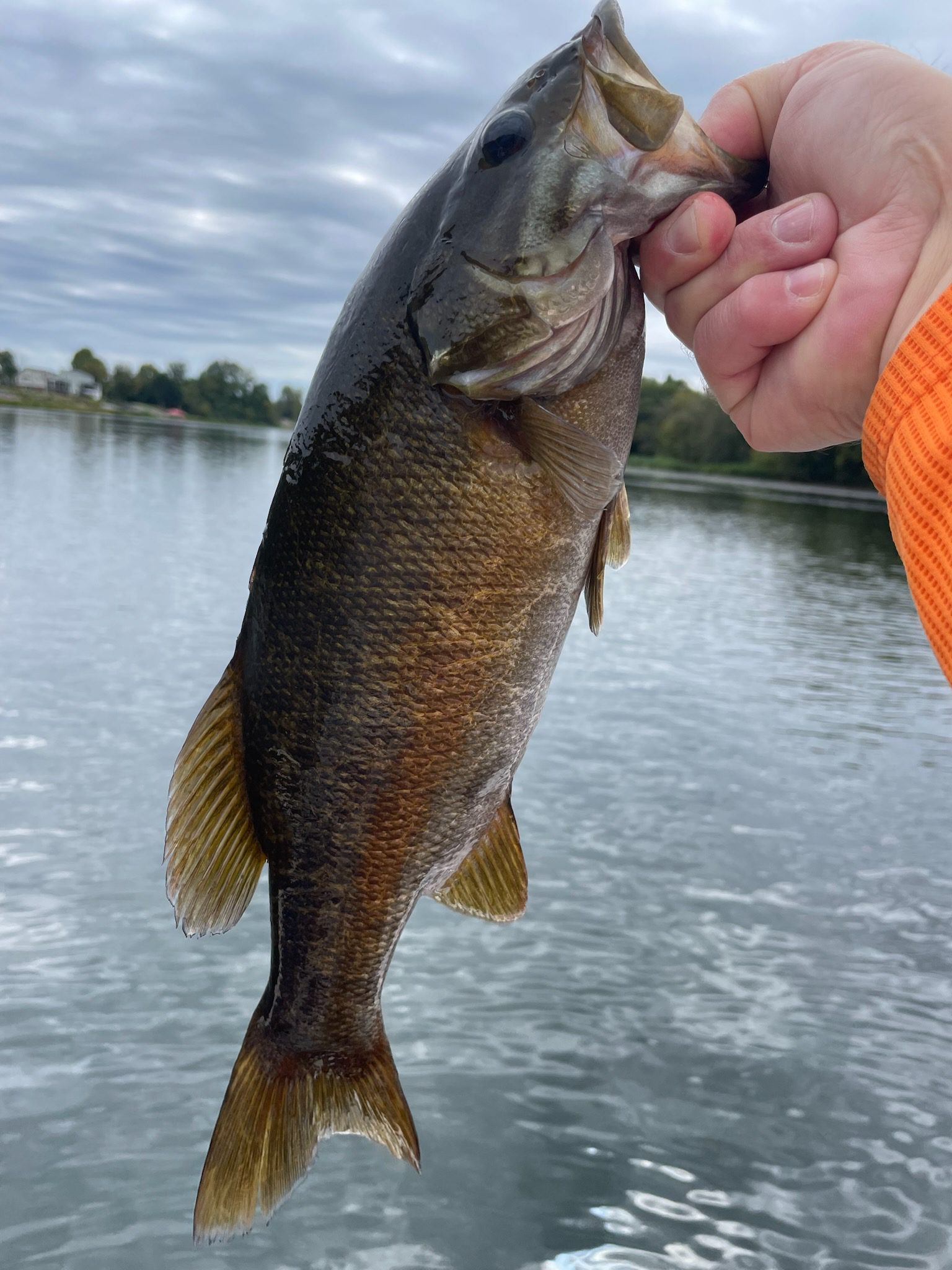 Nice small mouth - Coastal Angler & The Angler Magazine
