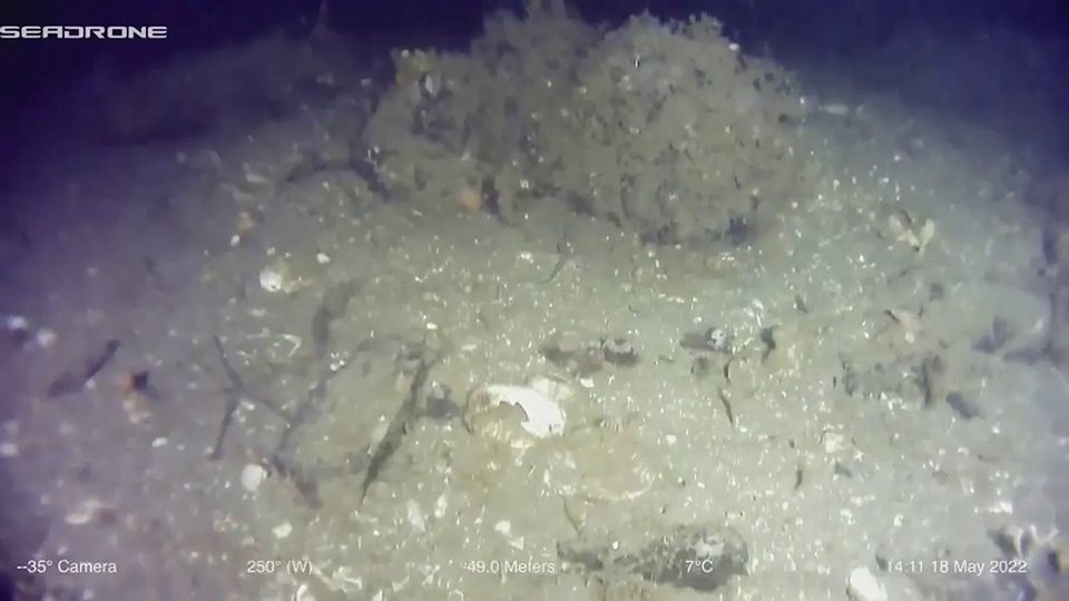 11,000-Year-Old Fish Trap Discovered On Ocean Floor Off Alaska Coast ...